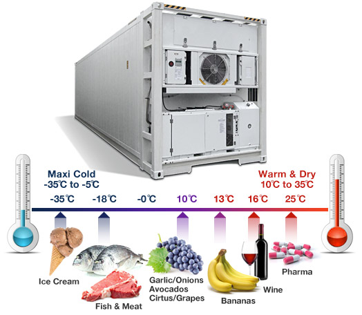 Seamless Solutions: Shree Balaji Logistics in Freight Management